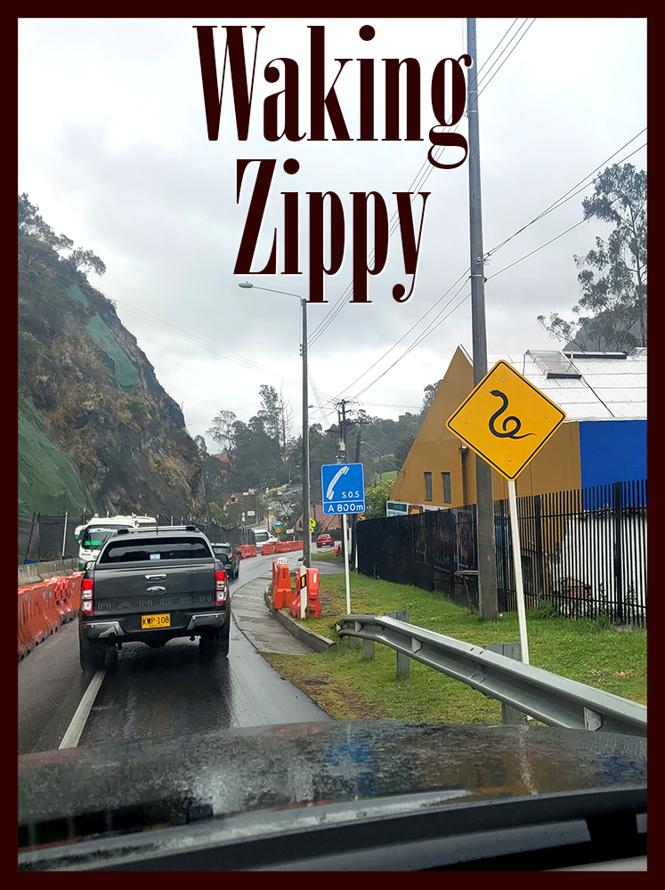 Waking Zippy – The Green-Walled Treehouse